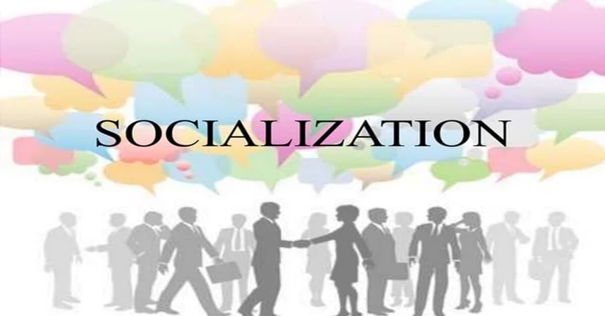 Importance of Socialization - Students Free